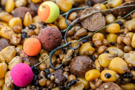 Six Types of Carp Rigs for Beginners