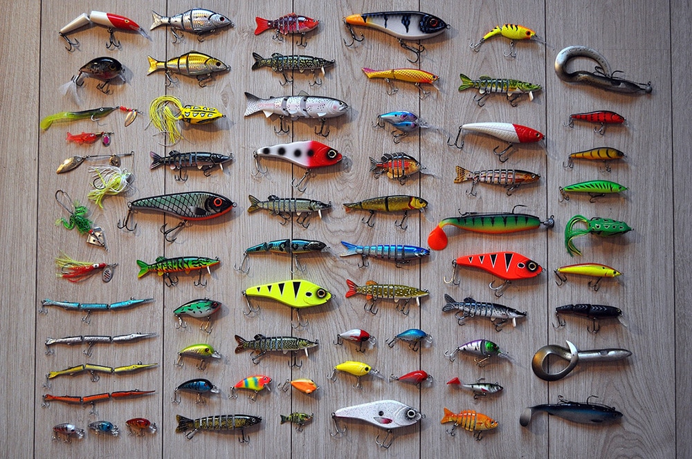 What Colors Attract Fish the Most?